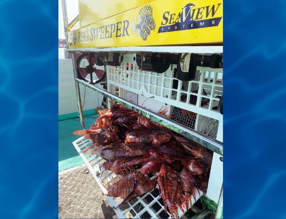 ROV Launch & Recovery Catch - Seaview Systems