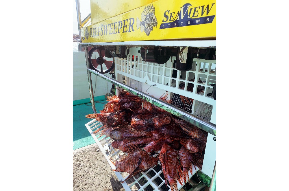 SeaView’s ReefSweeper Featured in Sea Technology Magazine – Seaview ...